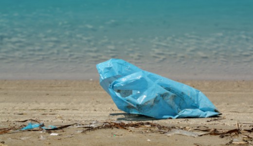 Plastica biodegradabile: che cosa significa?