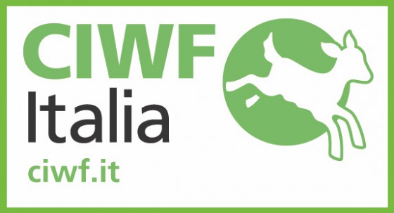 Pulcini, polli e galline: la posizione di Ciwf sugli allevamenti