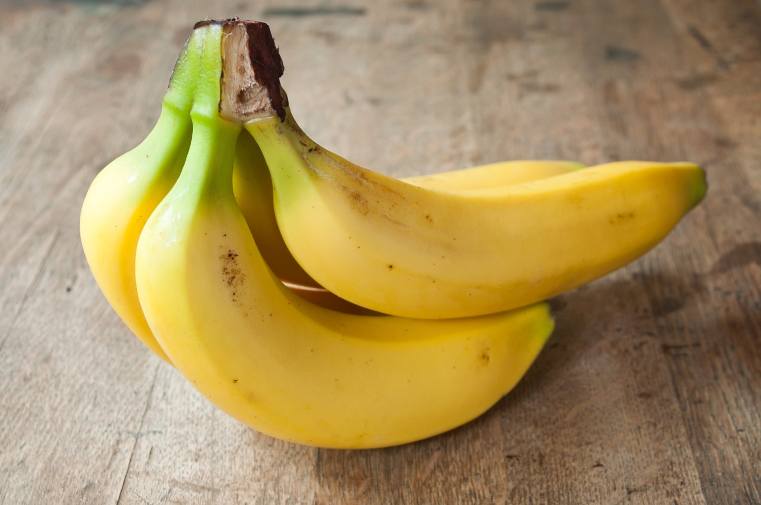 OGM: tutto quello che c'è da sapere per alimenti e mangimi