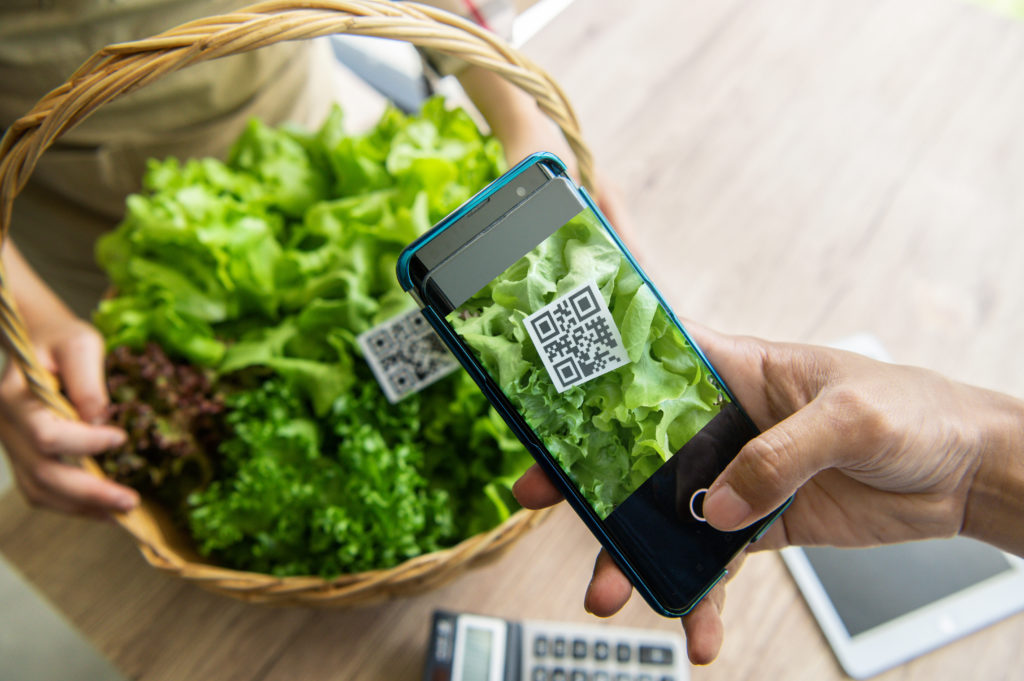 QR code, l'utilità dell'etichetta virtuale che espande i contenuti del pack