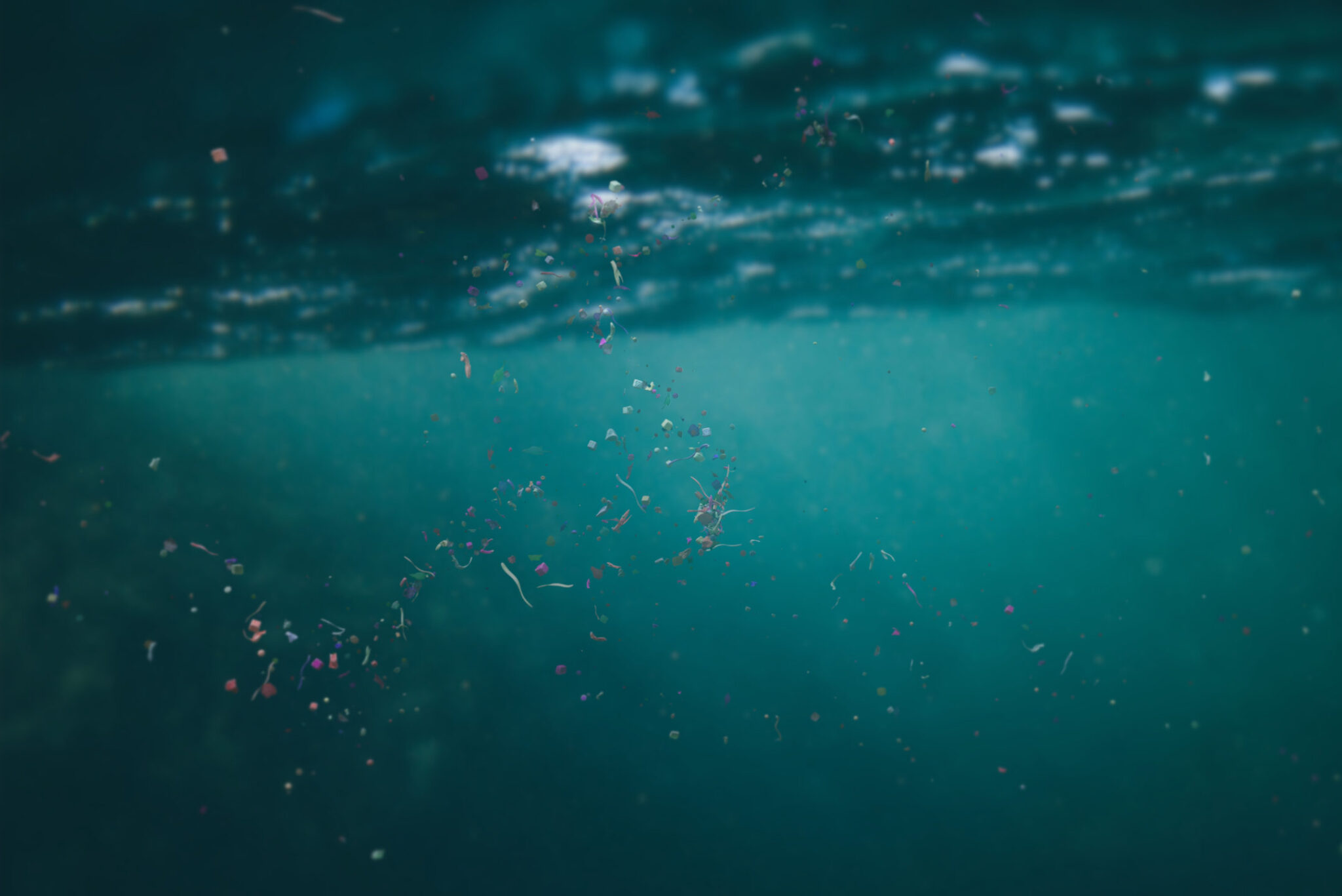 Bokep hijab sotee charming, small, young, cheerful female.