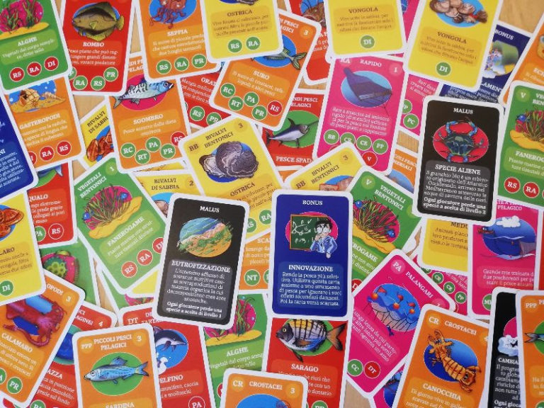 Gioco da tavola Fish 'n Ships: imparare a conoscere l'ecosistema marino