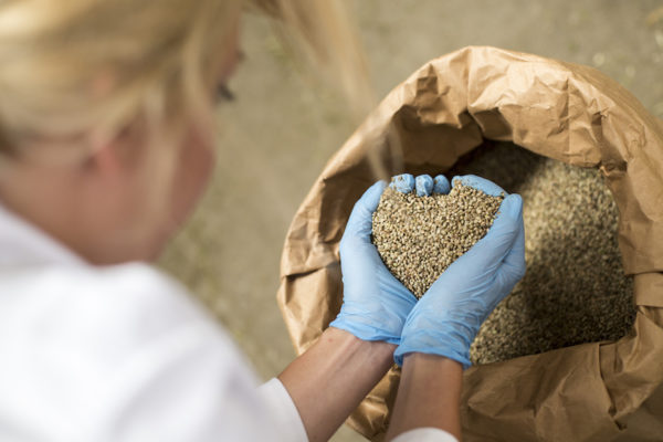 Reati alimentari, abrogata la legge che stabiliva le sanzioni