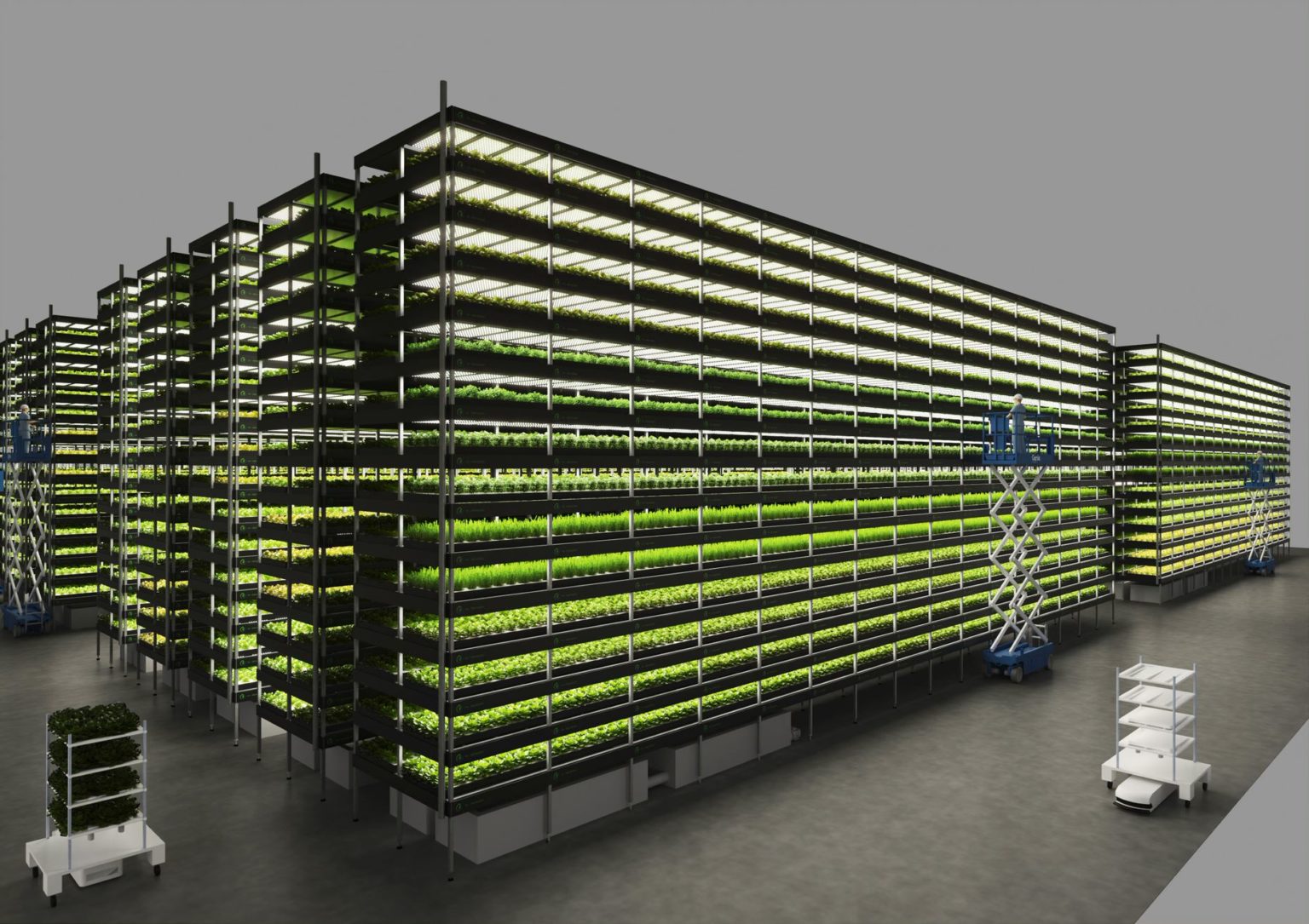 Vertical farm: la “nuova” agricoltura tra sostenibilità e profitto