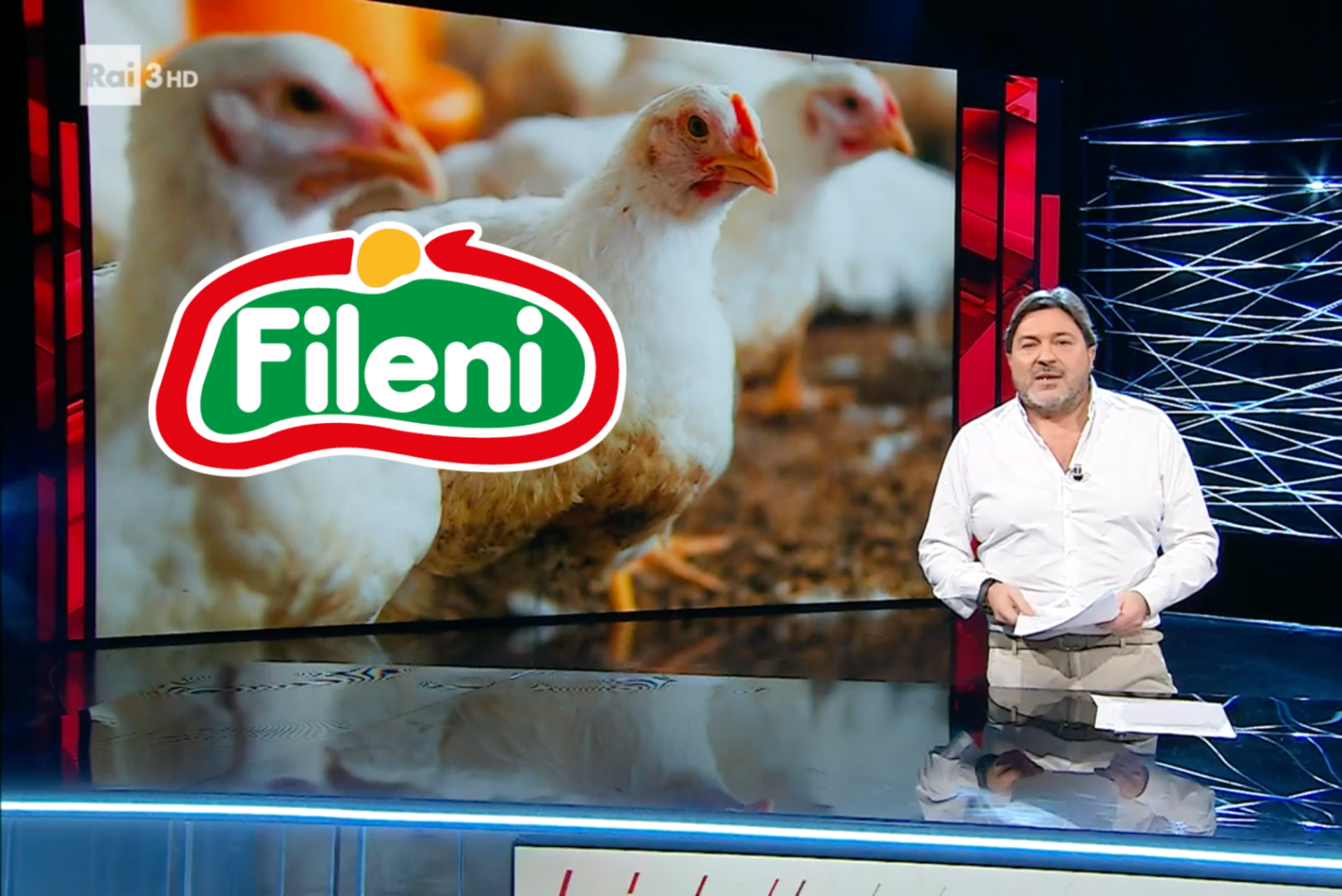 Report rettifica: il pollo Fileni è biologico