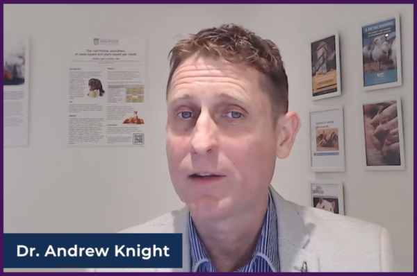 Polli e benessere animale: intervista ad Andrew Knight