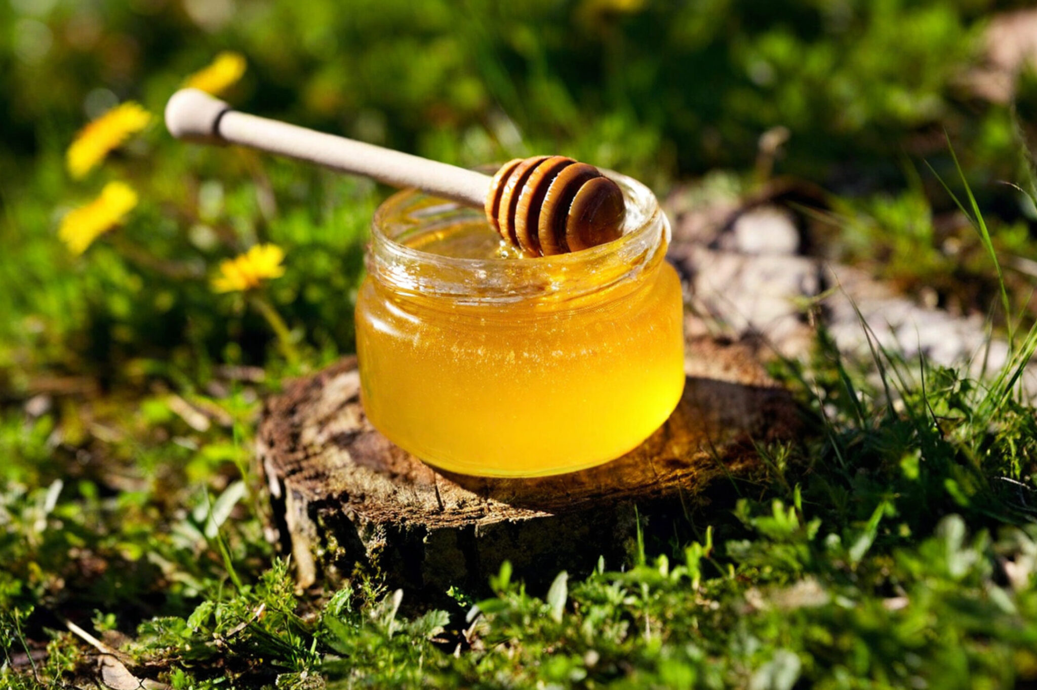 Miele: stop alle adulterazioni per tutelare consumatori e apicoltori